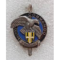 Insignes métalliques commandos et centres d'entrainement commandos (2 ...